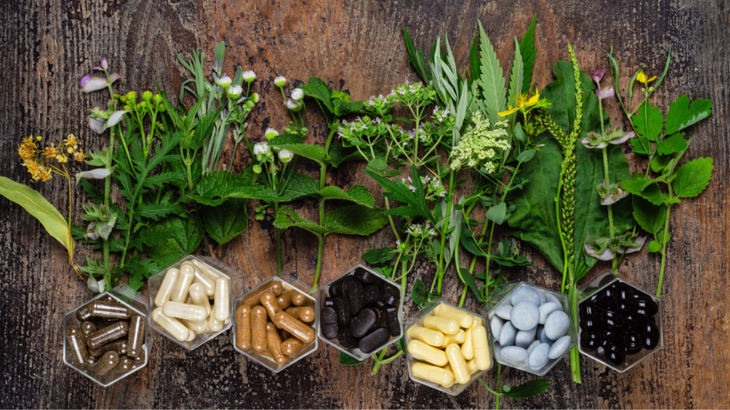 Supplement Contract Manufacturers - Bliss Lifesciences